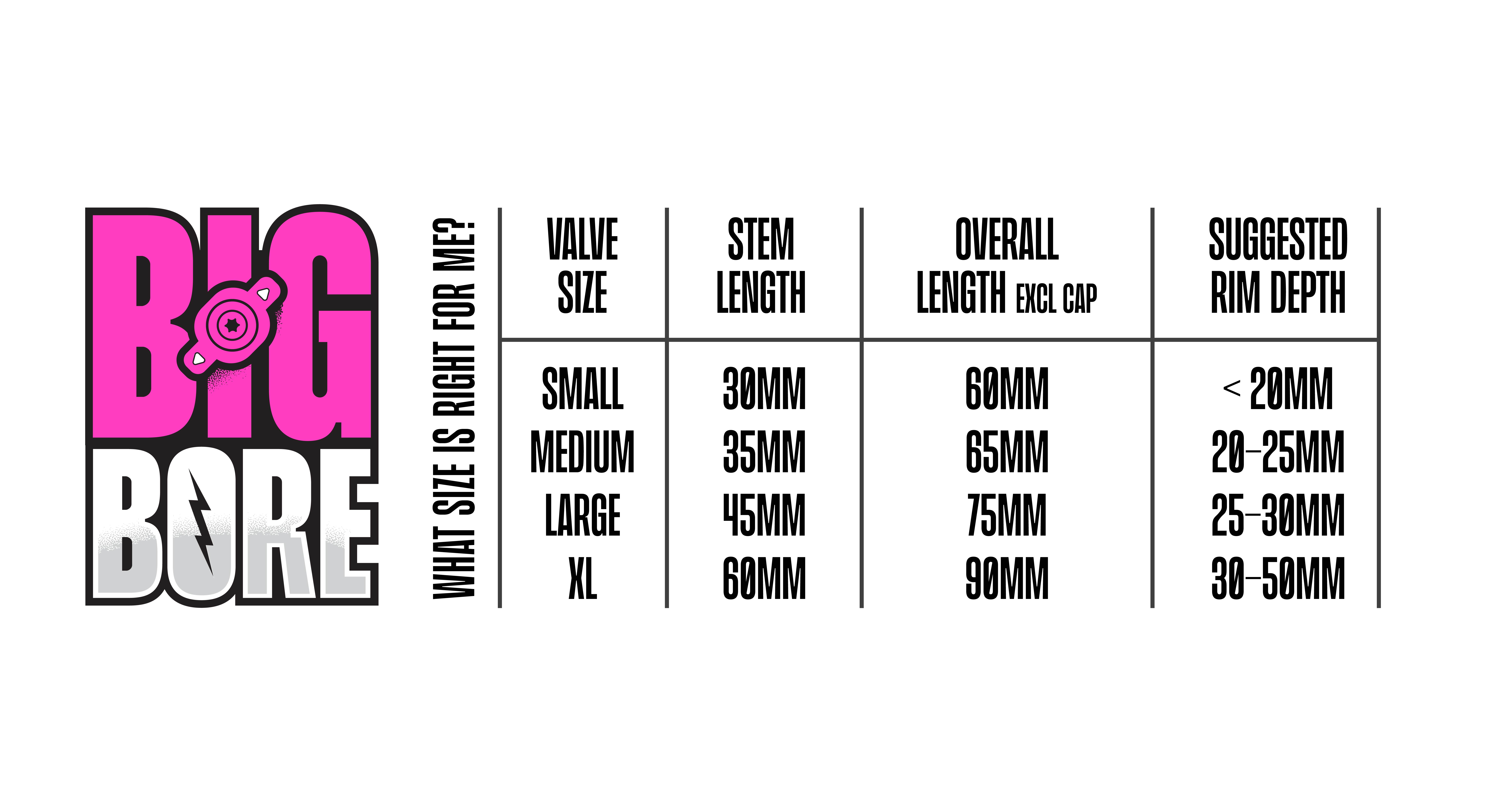 Big Bore Hybrid Tubeless Valves | Muc-Off UK