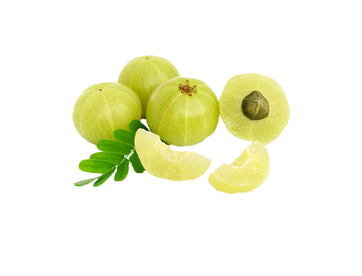 Ultra Gentle Baby Hair Cleanser