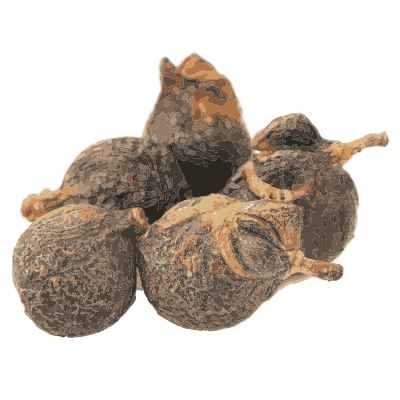 Extra Nourishing Triphala Hair Cleanser