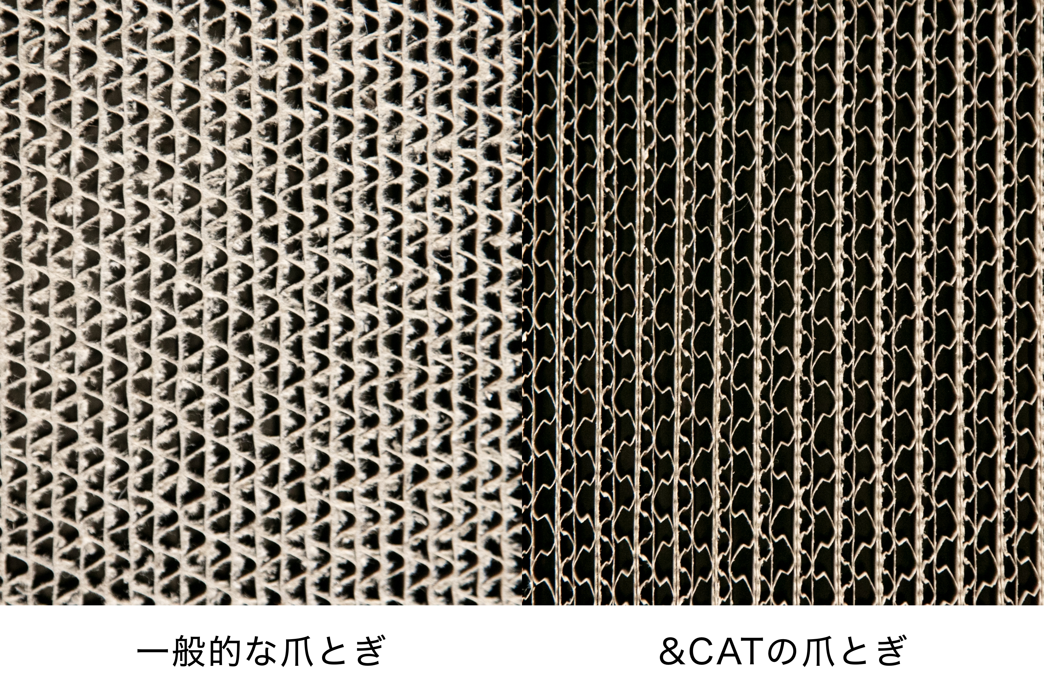 TOG Arc ｜ 猫のくつろぎと遊びがひとつに。研ぎカスもあまり出ない、おしゃれな国産爪とぎ【&CAT】 – & CAT